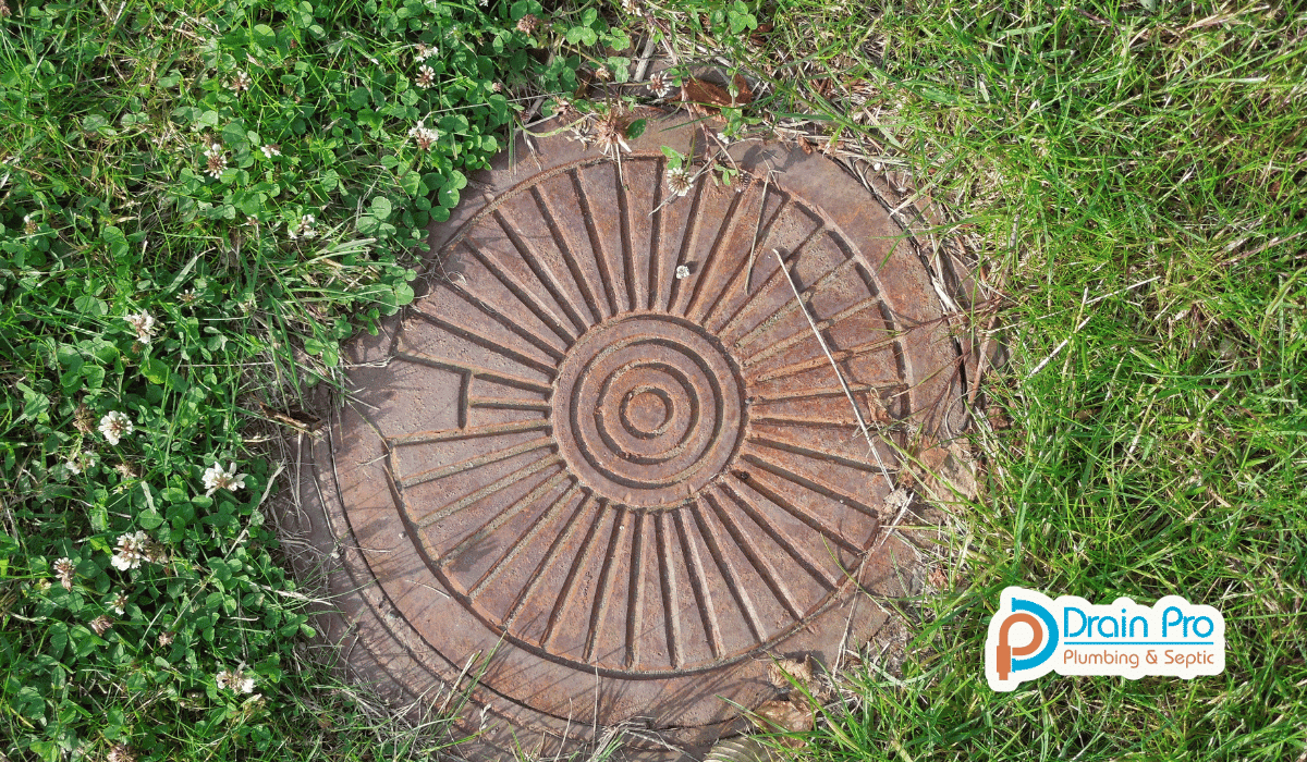 Bellevue Sewer - Reliable and Licensed Plumbers | Drain Beast Services